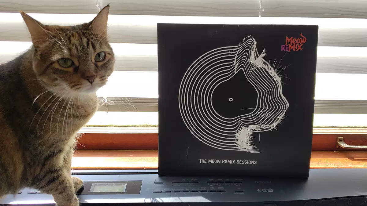 Myn kat mei de Meow Mix ReMix LP