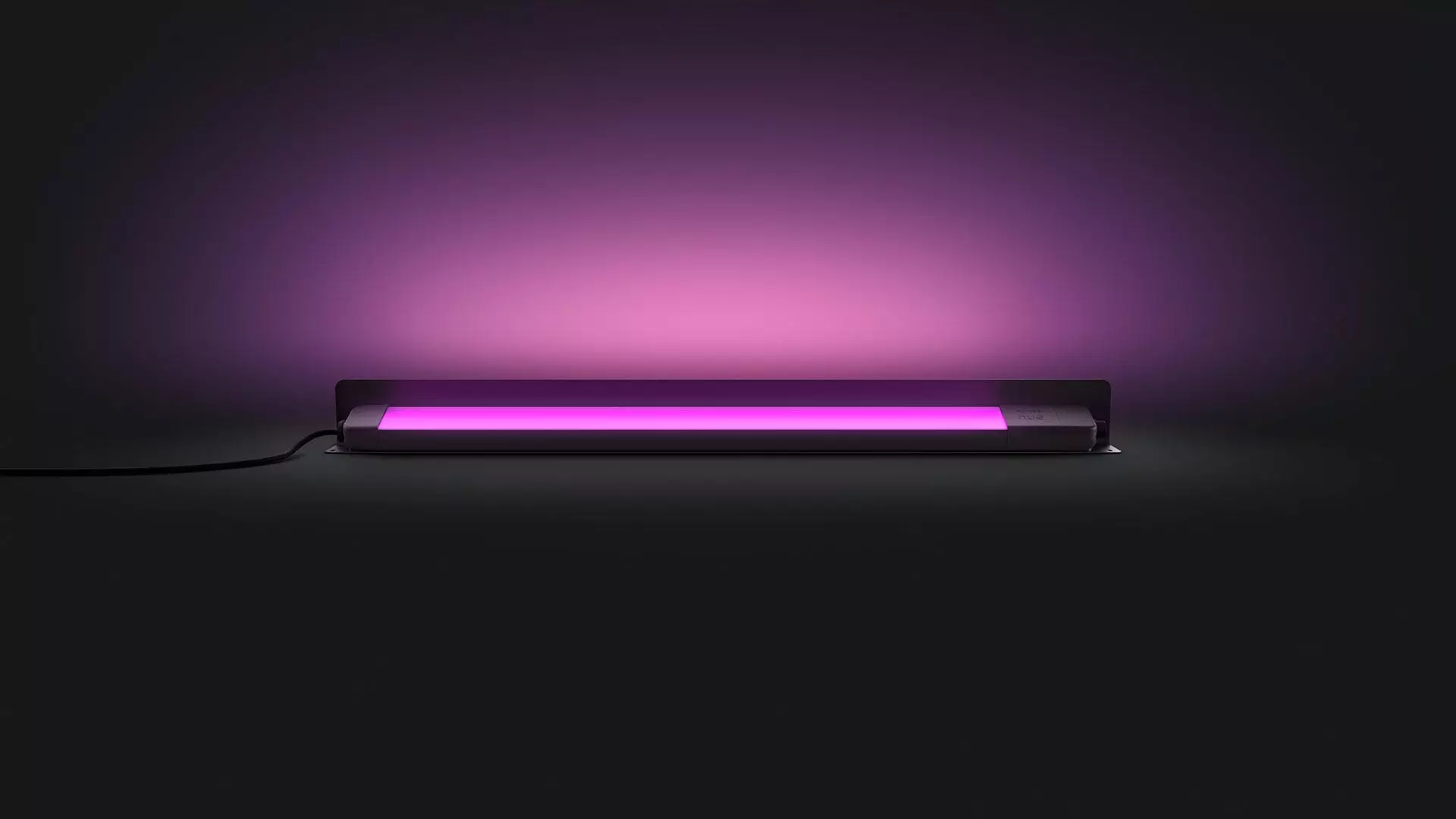 Лесна лента што ја исфрла пурпурната светлина.