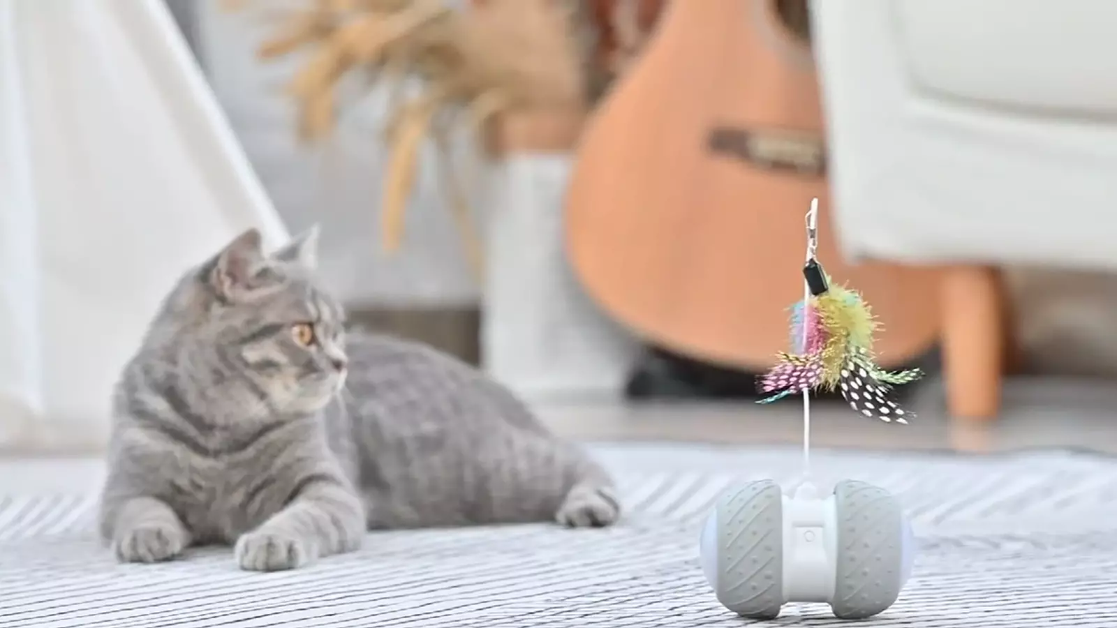 पेटड्रॉइड बोल्ट्झ रोबोटिक मांजर खेळण्याकडे पाहत बसलेली मांजर