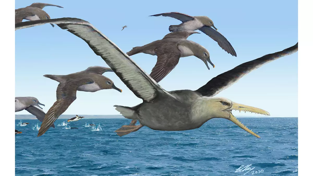 Уран бүтээлчид пелагорнитид, магадгүй хамгийн том нисдэг шувууг дүрсэлж байна