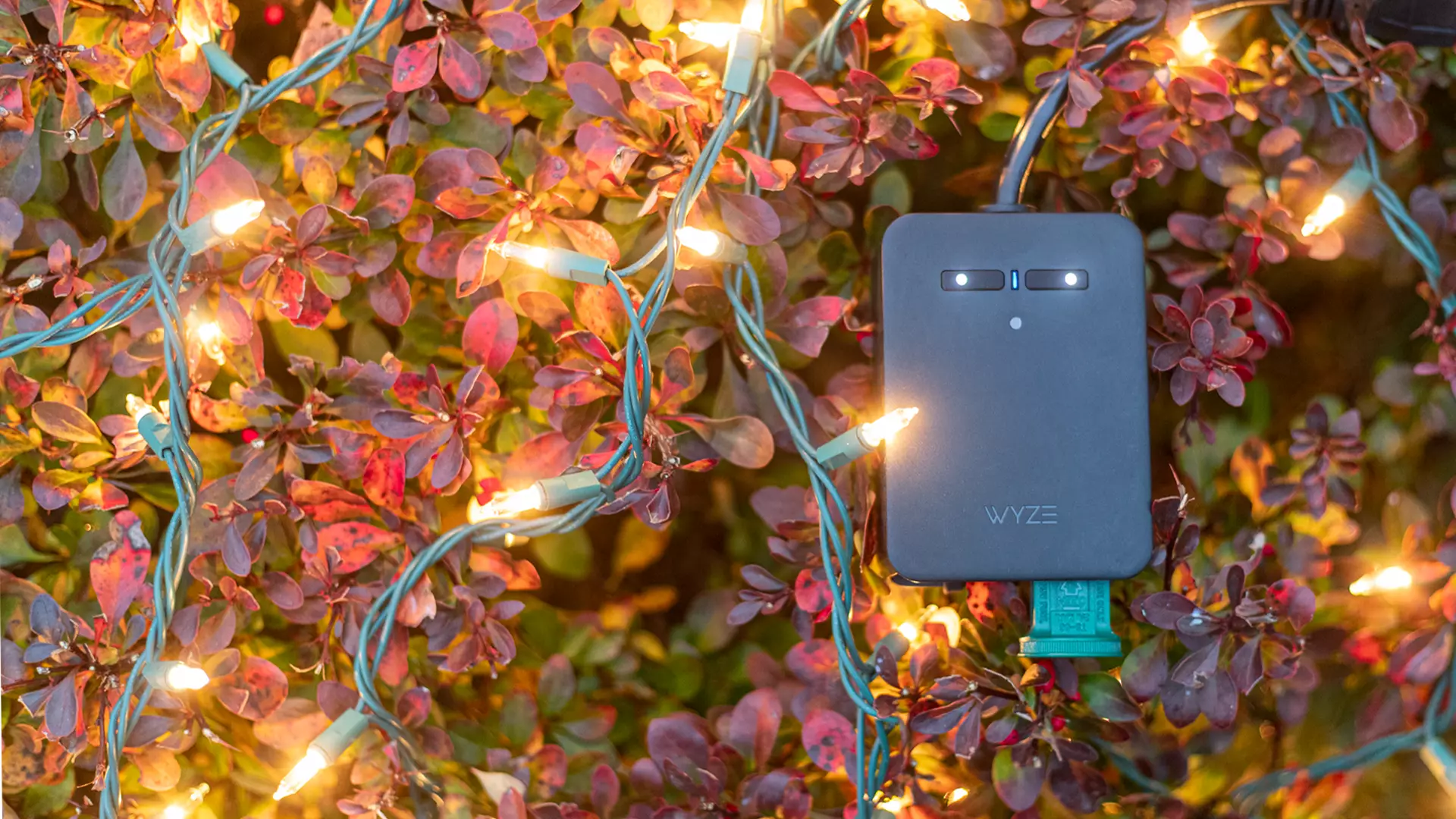 Wyzes neuester intelligenter 10-Dollar-Stecker geht nach draußen, um Ihre Weihnachtsbeleuchtung mit Strom zu versorgen