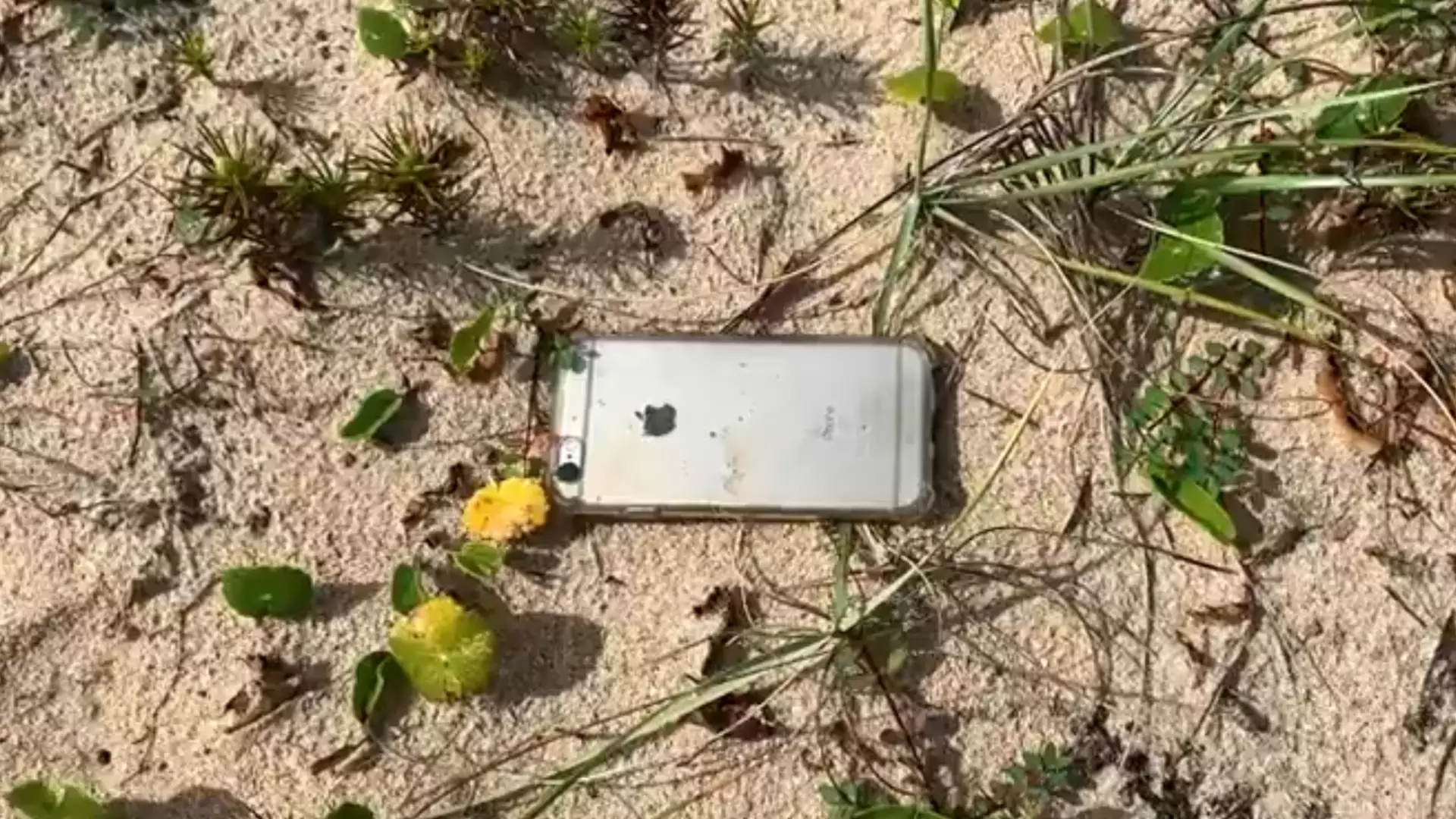 Mira com un iPhone 6s cau d'un avió, registra el seu descens i sobreviu