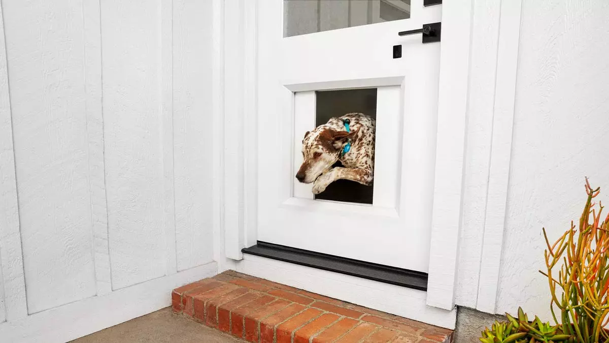 Собака вистрибує через отвір у дверях.