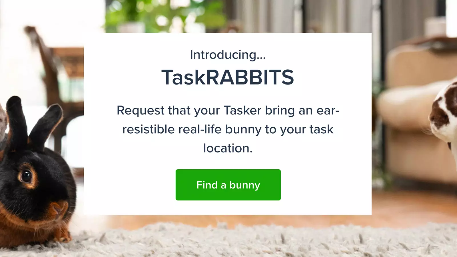 تصویری از صفحه Taskrabbit Taskrabbits.
