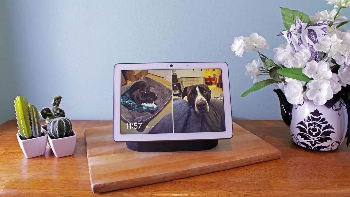 リビング ルームのエンド テーブルに置かれた Google Nest Hub。犬の写真が表示されている。