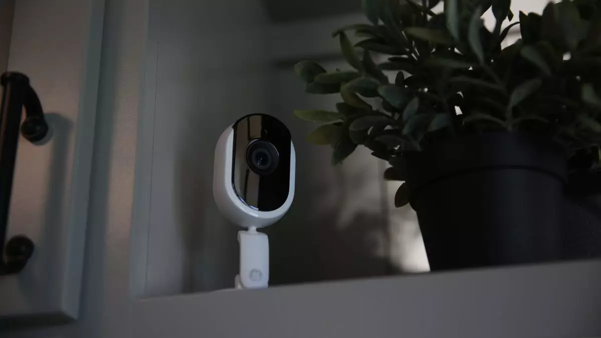 Một camera an ninh bên cạnh một chậu cây.