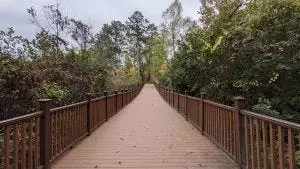 Примерок на слика од Pixel 5: широкоаголна патека за пешачење надвор со дрвја и друга вегетација околу