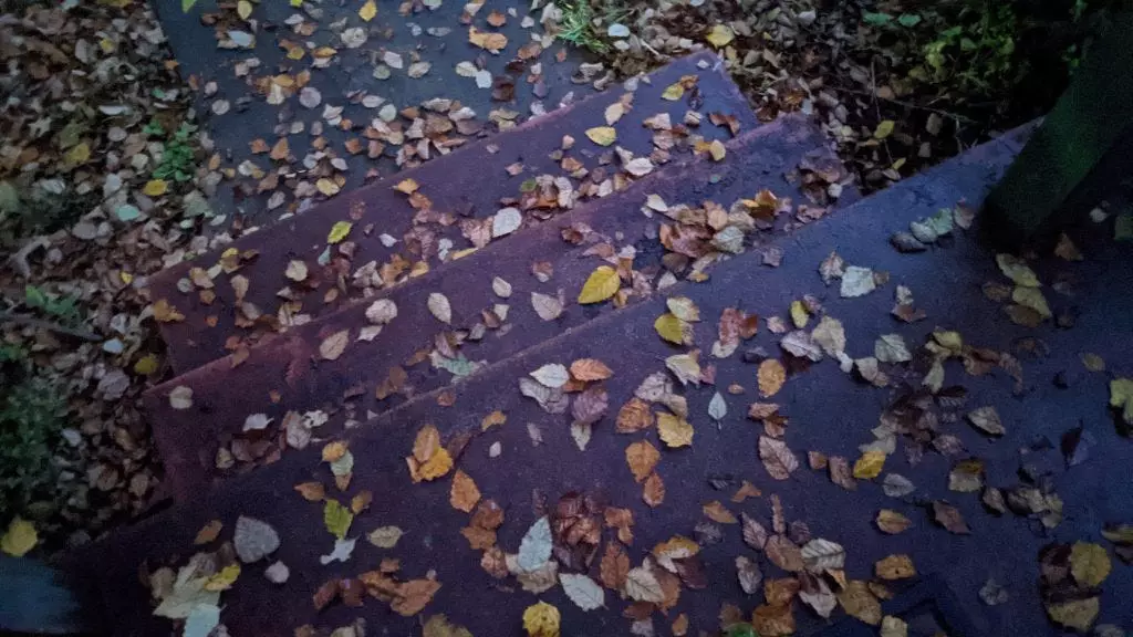 Образец камеры Pixel 5 в ночном режиме: листья на темном крыльце под дождем
