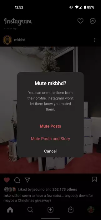 một hình ảnh hiển thị menu Mute trên Instagram