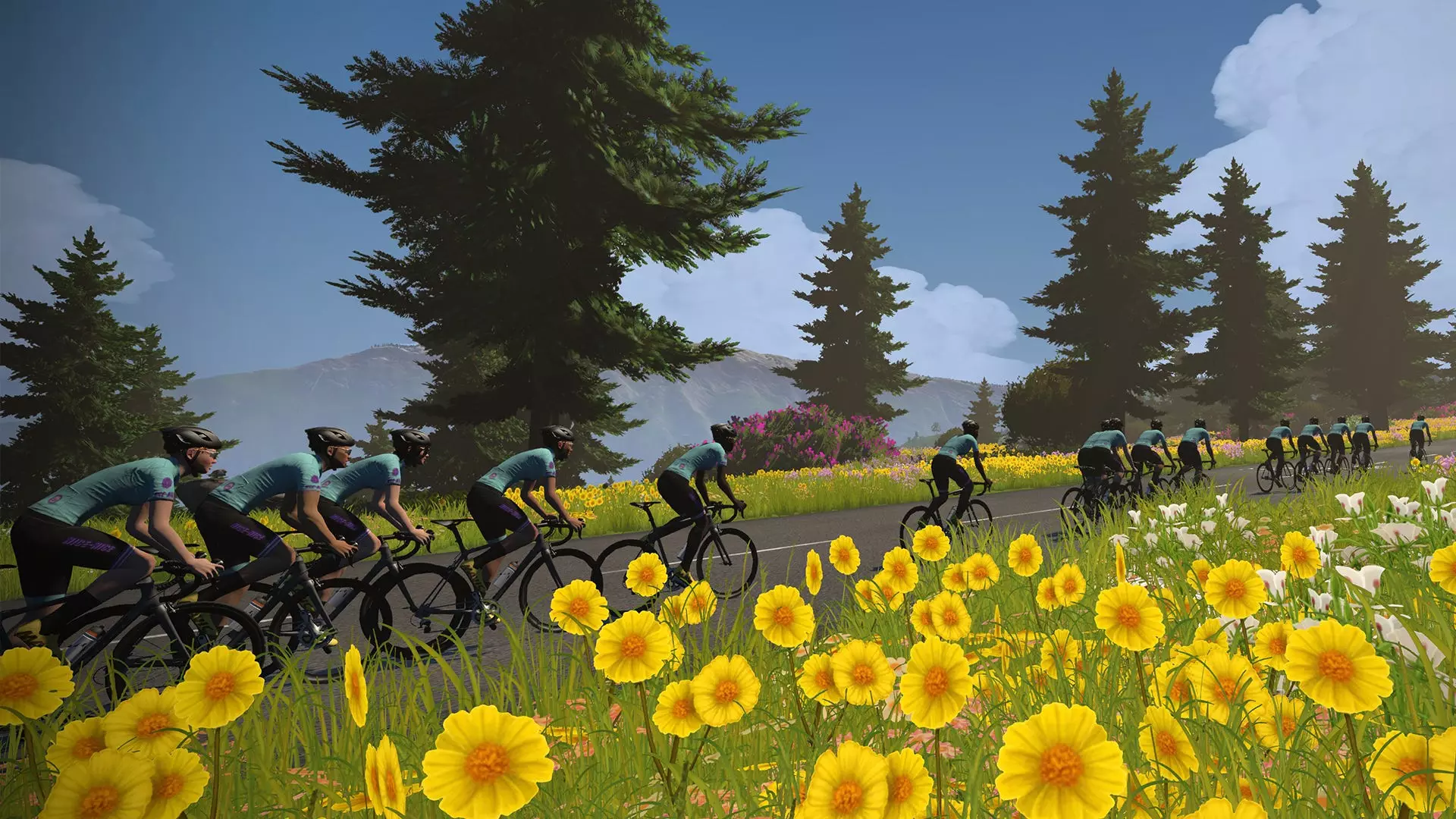 Pro-fietsryers sal volgende maand 'n virtuele Tour de France op Zwift aanpak