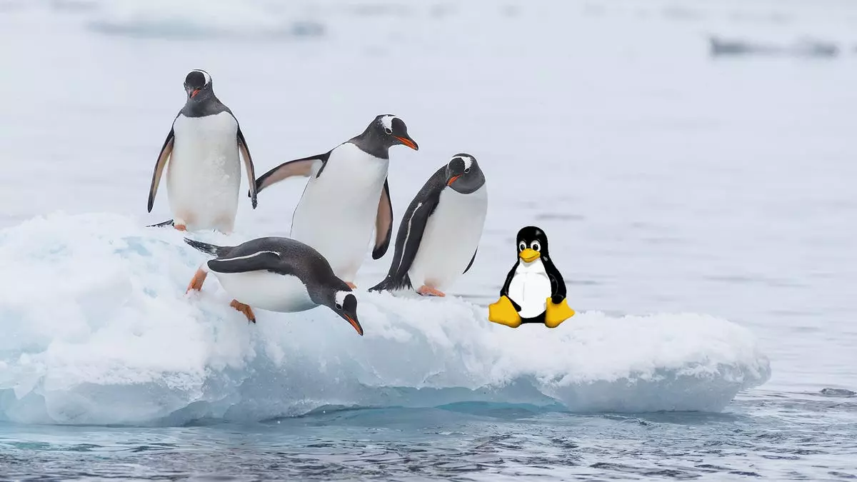 Vier Gentoo-pinguïns en de mascotte van Linux Tux op een ijsstroom.