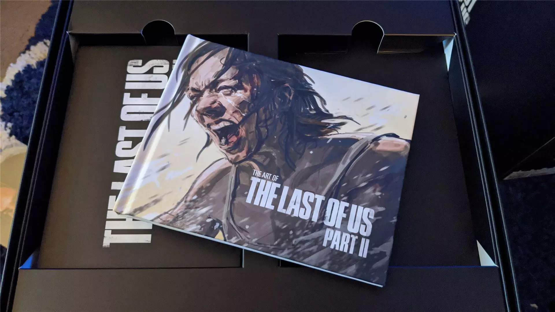 Buku seni mini The Last of Us Part II Collector's Edition
