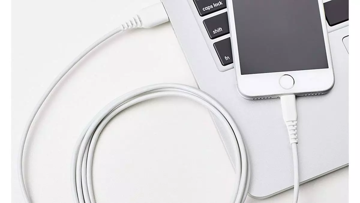 “IPhone” -y “Mac” -a birikdirýän “AmazonBasics” yşyklandyryş kabeli