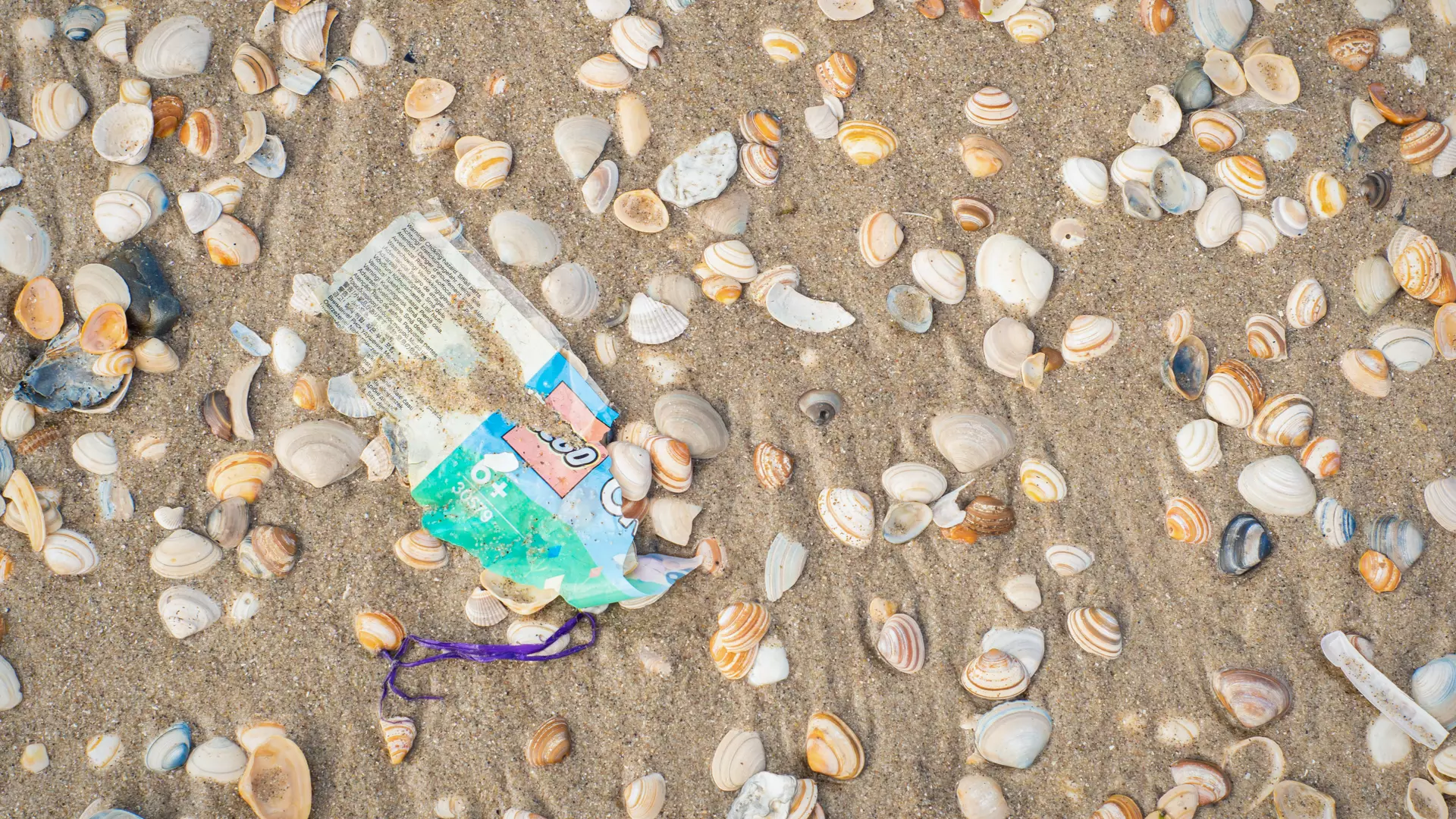 Lego stavebnicový balíček vyrobený z fólie vyhozené mořem mezi písek a mušle. Redakční obrázek odpadků ve vodě.