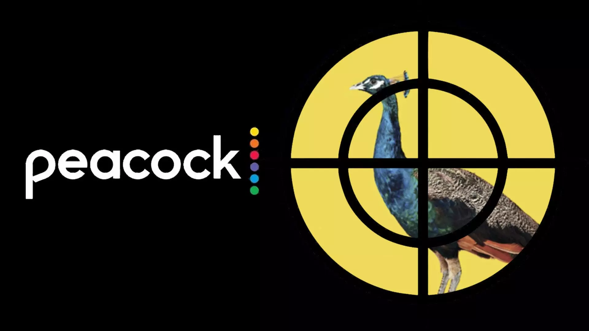 I Mosh Pit of Streaming Services er NBC's Peacock skubbet på alle sider
