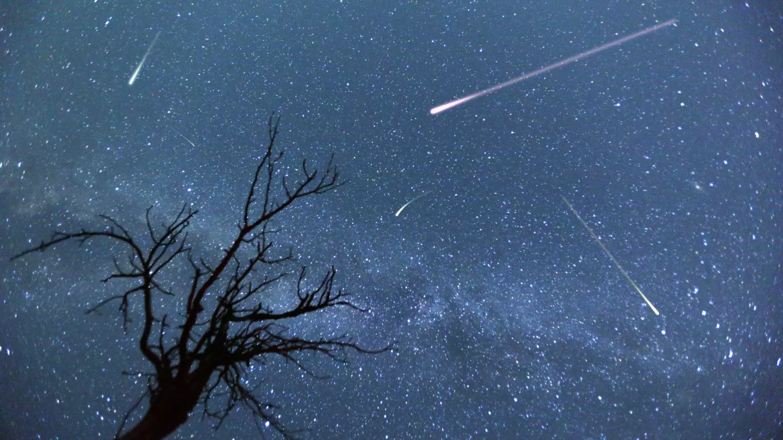 Meteory střílející po obloze se sihouetou malého holého stromu během meteorického roje Perseid v roce 2015