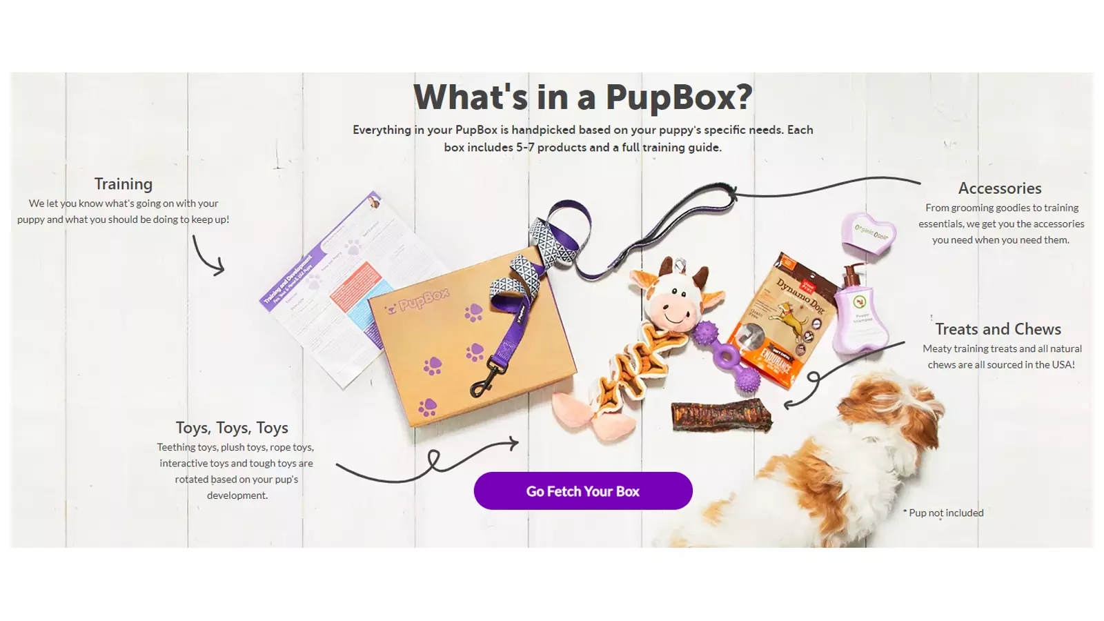 강아지를 위한 PupBox 최고의 구독 상자
