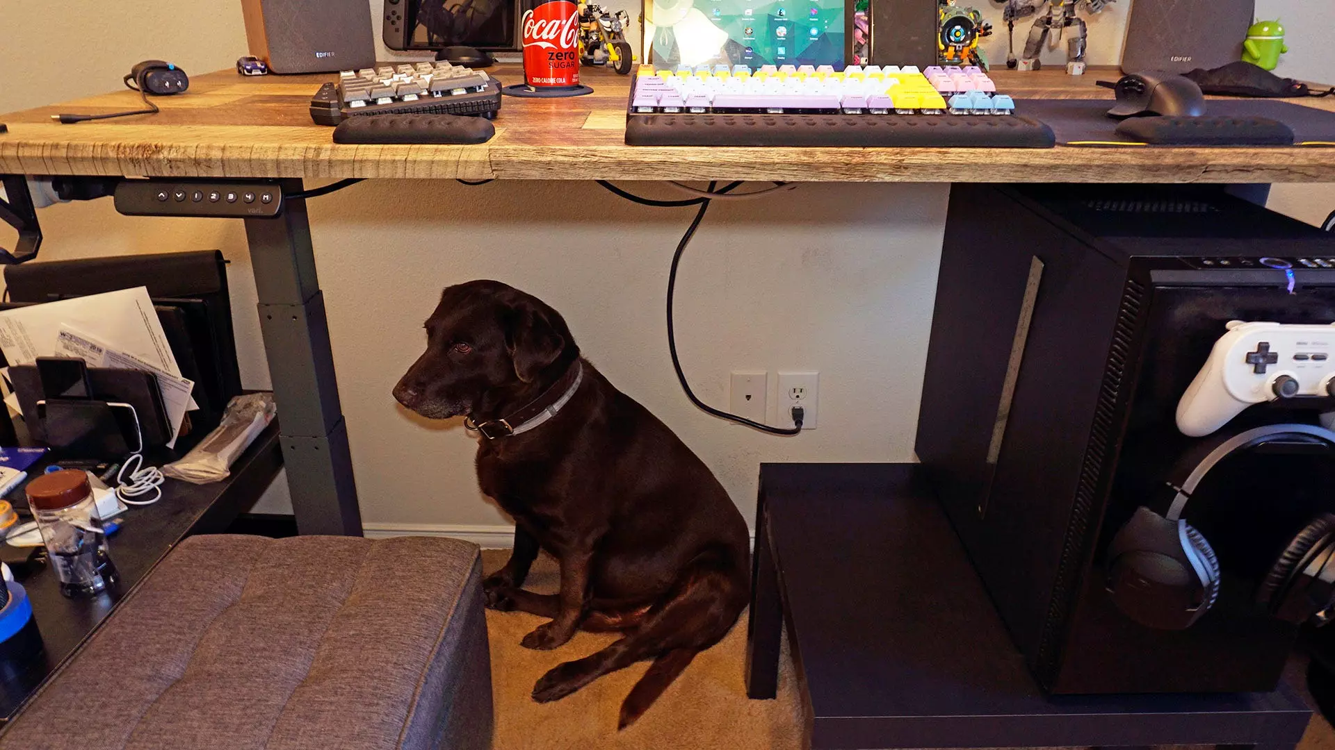 Kutya a Vari álló íróasztal alatt