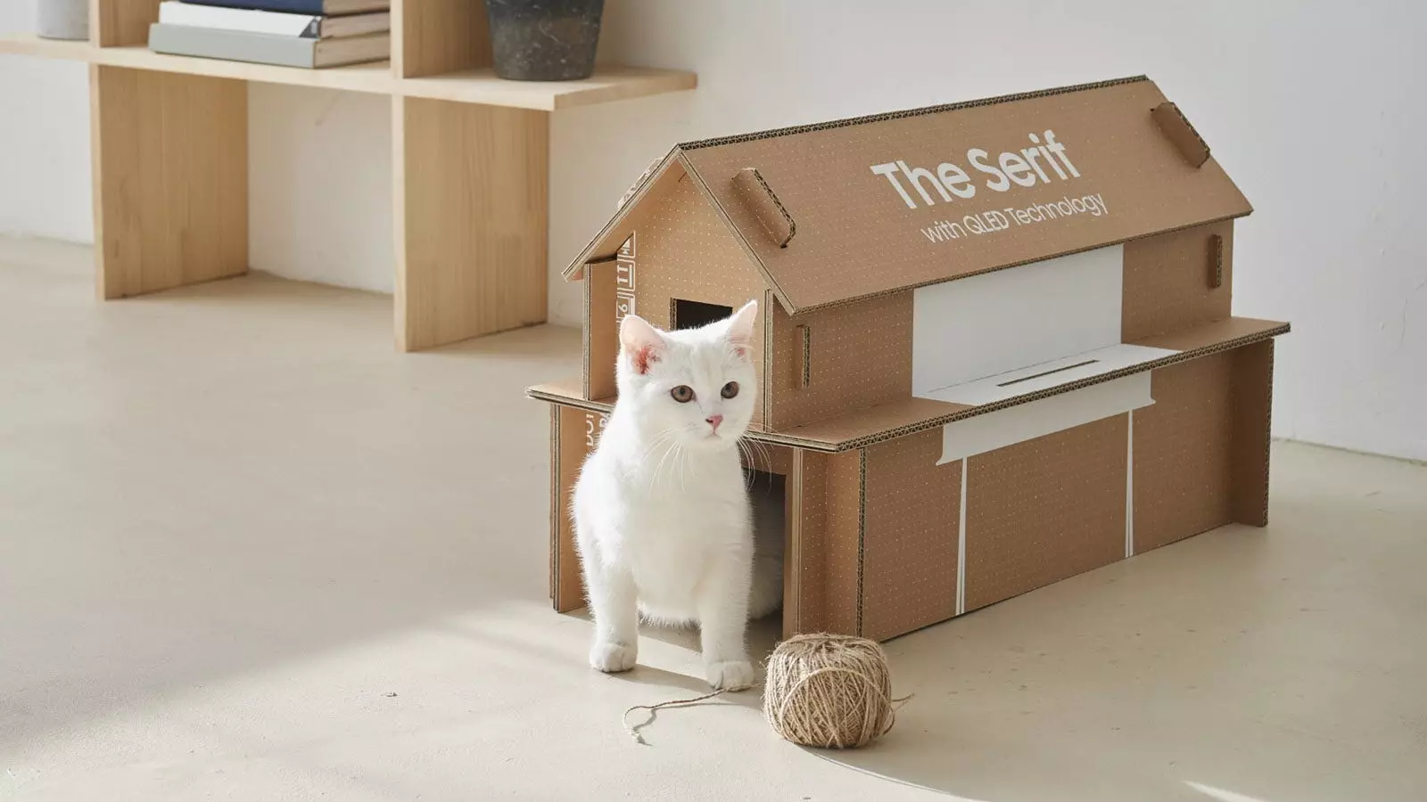 Новые телевизионные коробки Samsung складываются в кошачьи домики и журнальные стойки