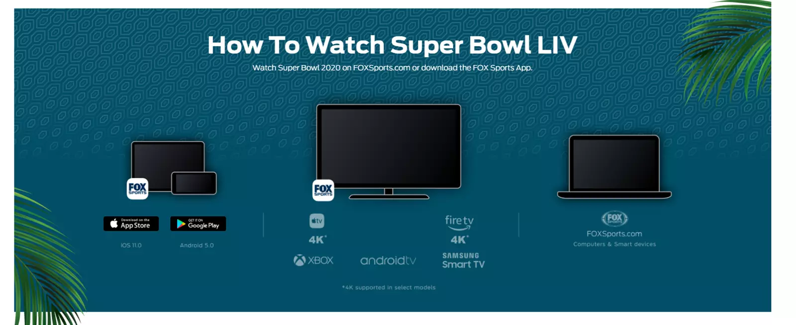 Fox Sports webgunea, Super Bowl ikusteko hainbat modu zerrendatuz, Roku ez dago zerrendatuta.