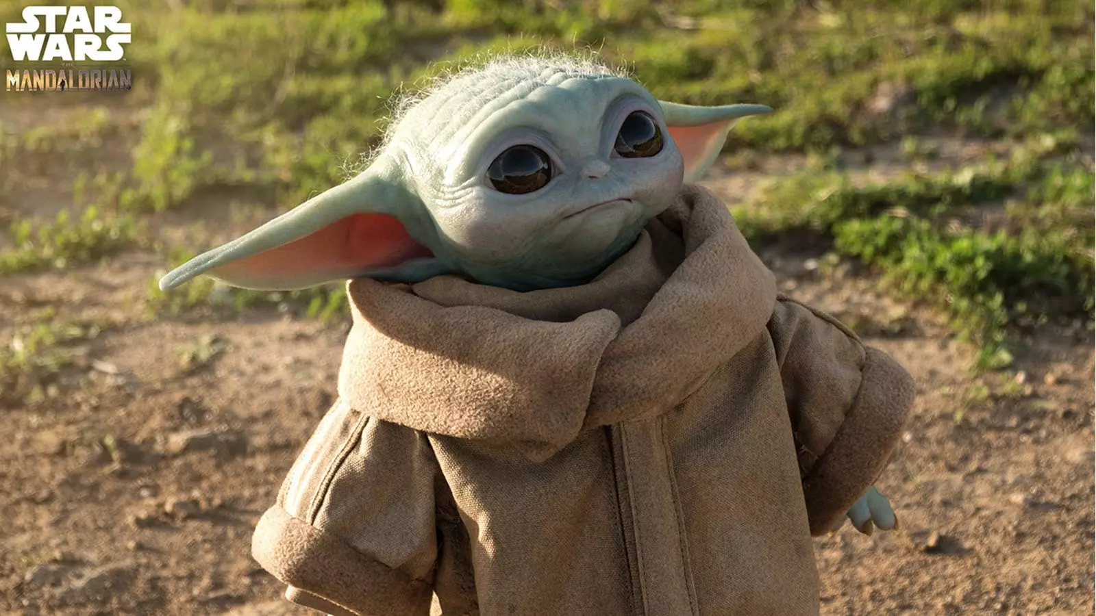Em bé Yoda có kích thước ngoài đời của Sideshow trông thật đến mức Bạn sẽ muốn âu yếm nó