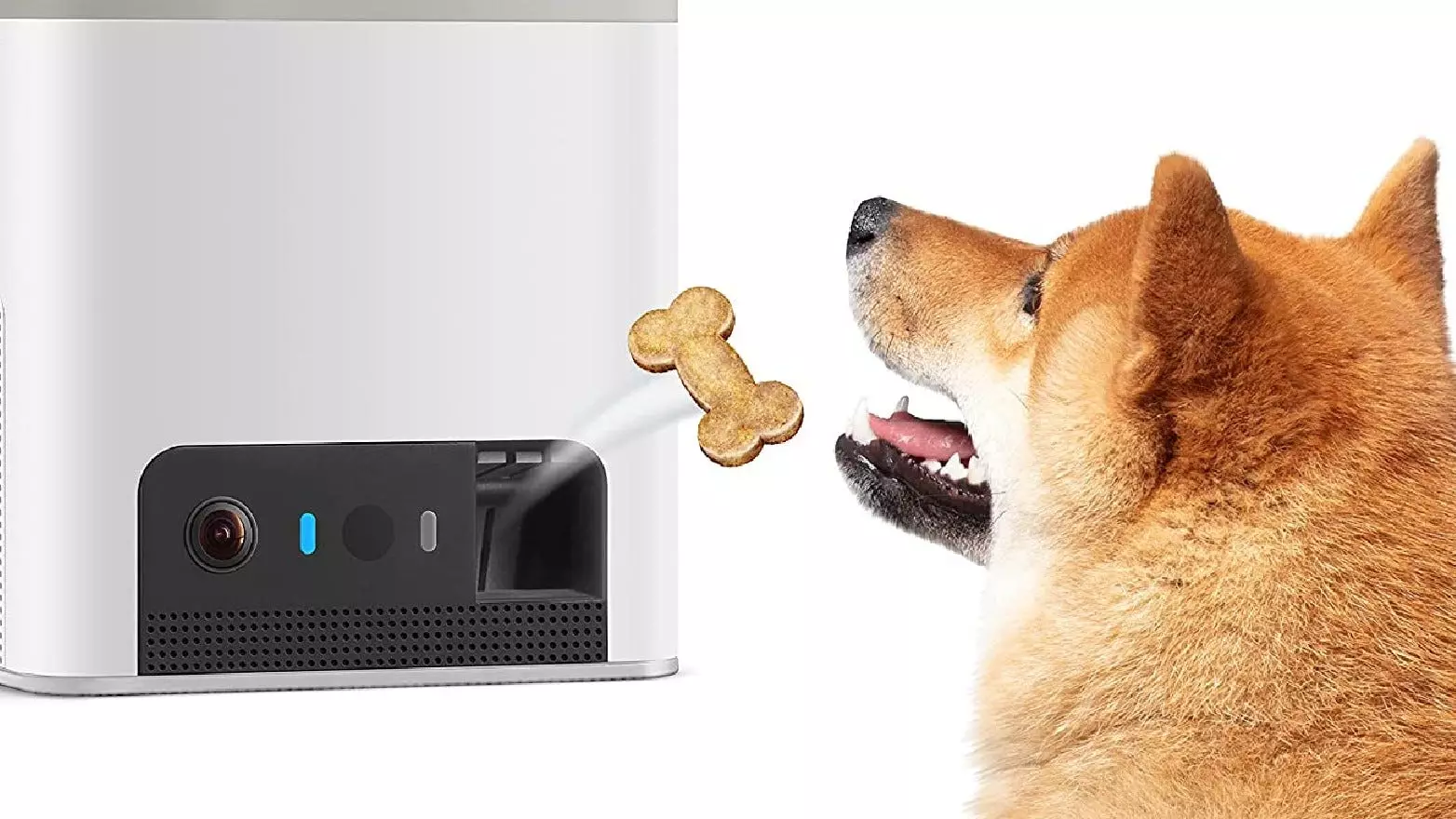Automatische dispenser geeft een hond een traktatie