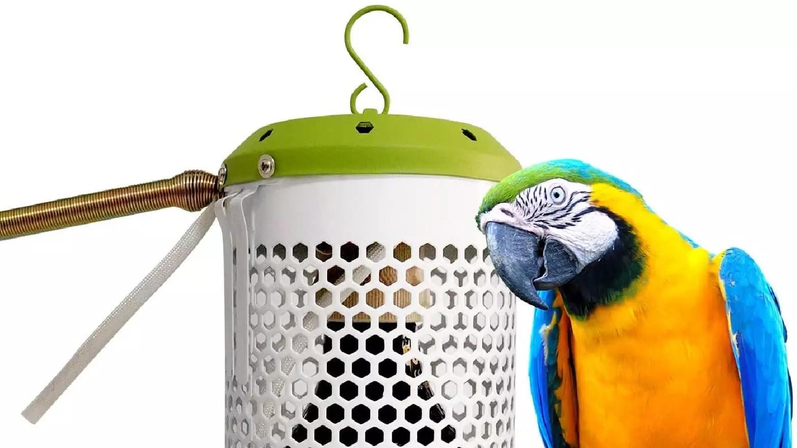 Een papegaai naast een verwarming