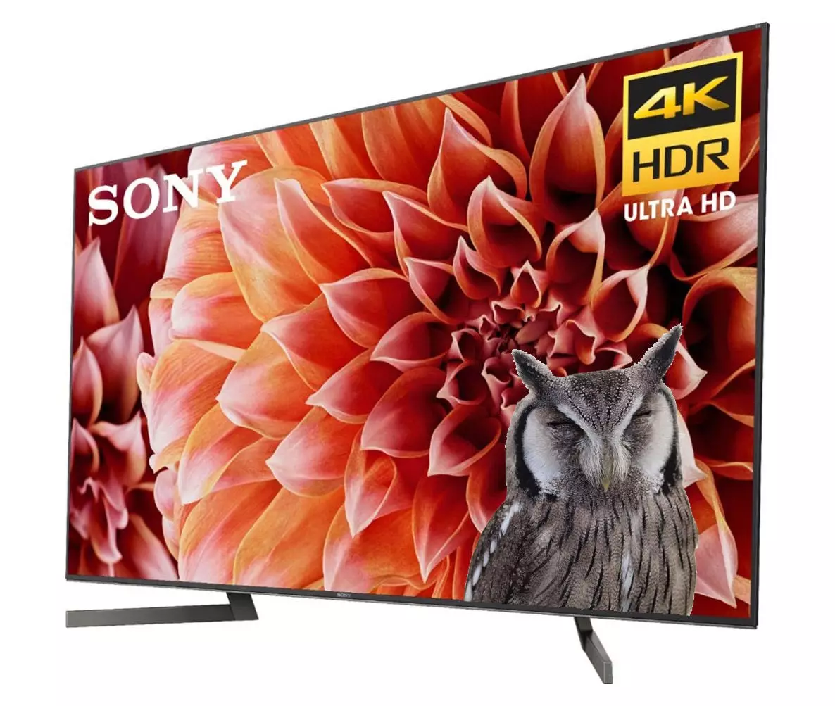Sony XBR65X900F televisie