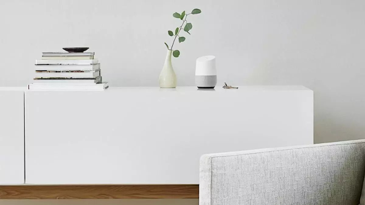 電視櫃上的 Google Home 智能揚聲器和植物。