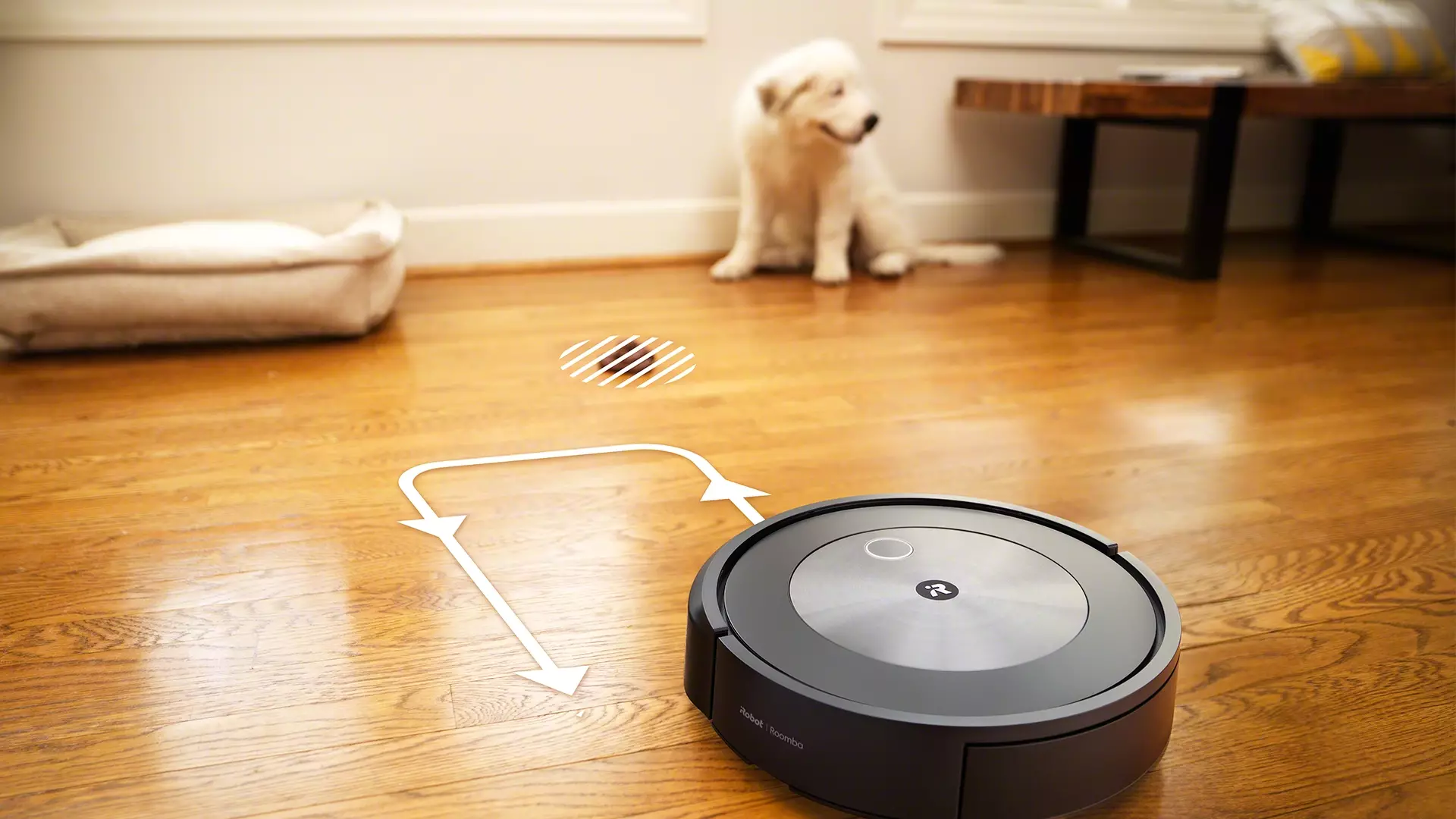 Roomba sa a sèvi ak AI ki trè avanse pou evite poupou chen