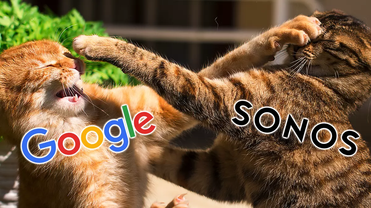 Dos gats baralant-se amb els logotips de Google i Sonos per sobre dels seus caps.