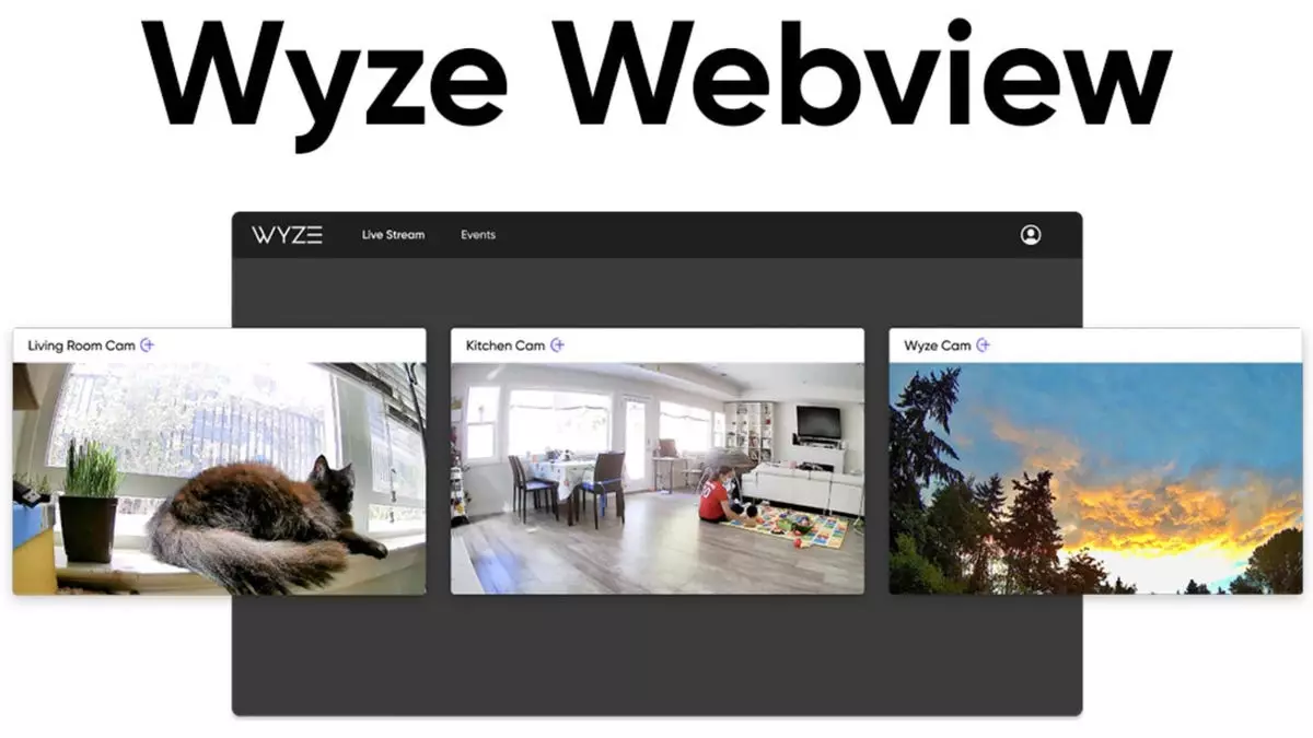 Wyze View Web View Beta