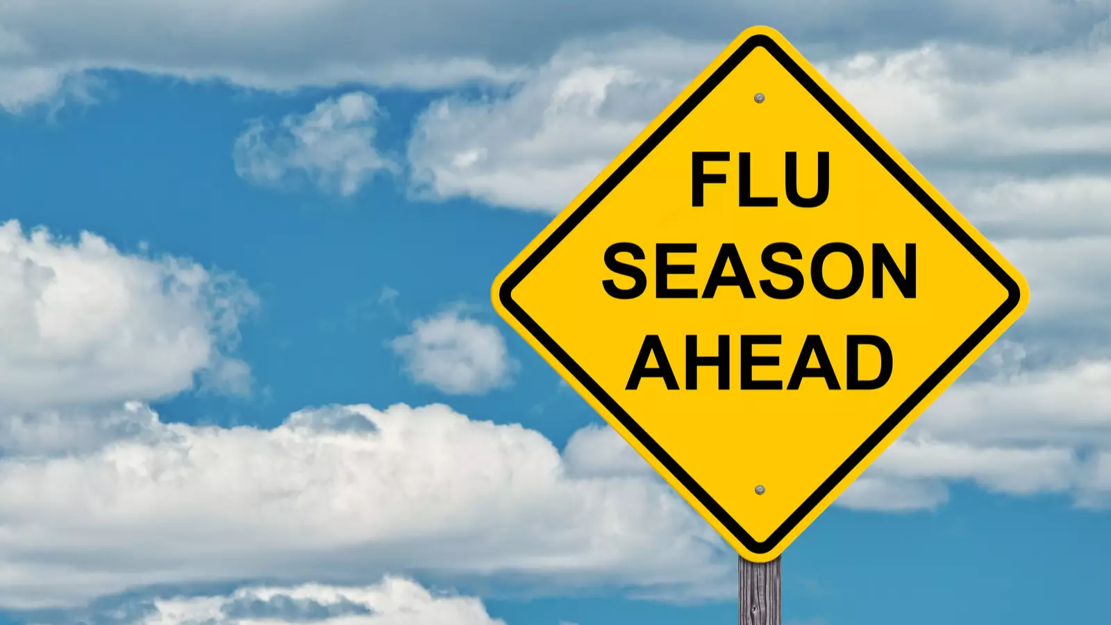 9 artikuj që do t'ju ndihmojnë të qëndroni të shëndetshëm gjatë sezonit të gripit