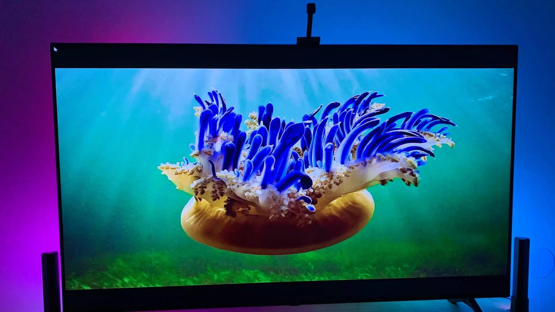 Jiro Govee misy jellyfish amin'ny fahitalavitra
