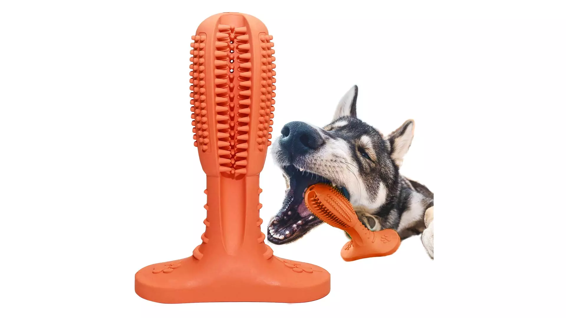 The Wisedom Dog Toothbrush Stick