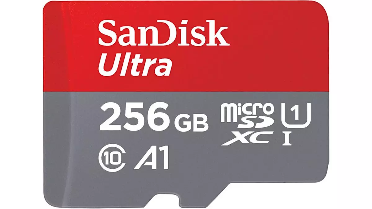 SanDisk 256GB microSD card