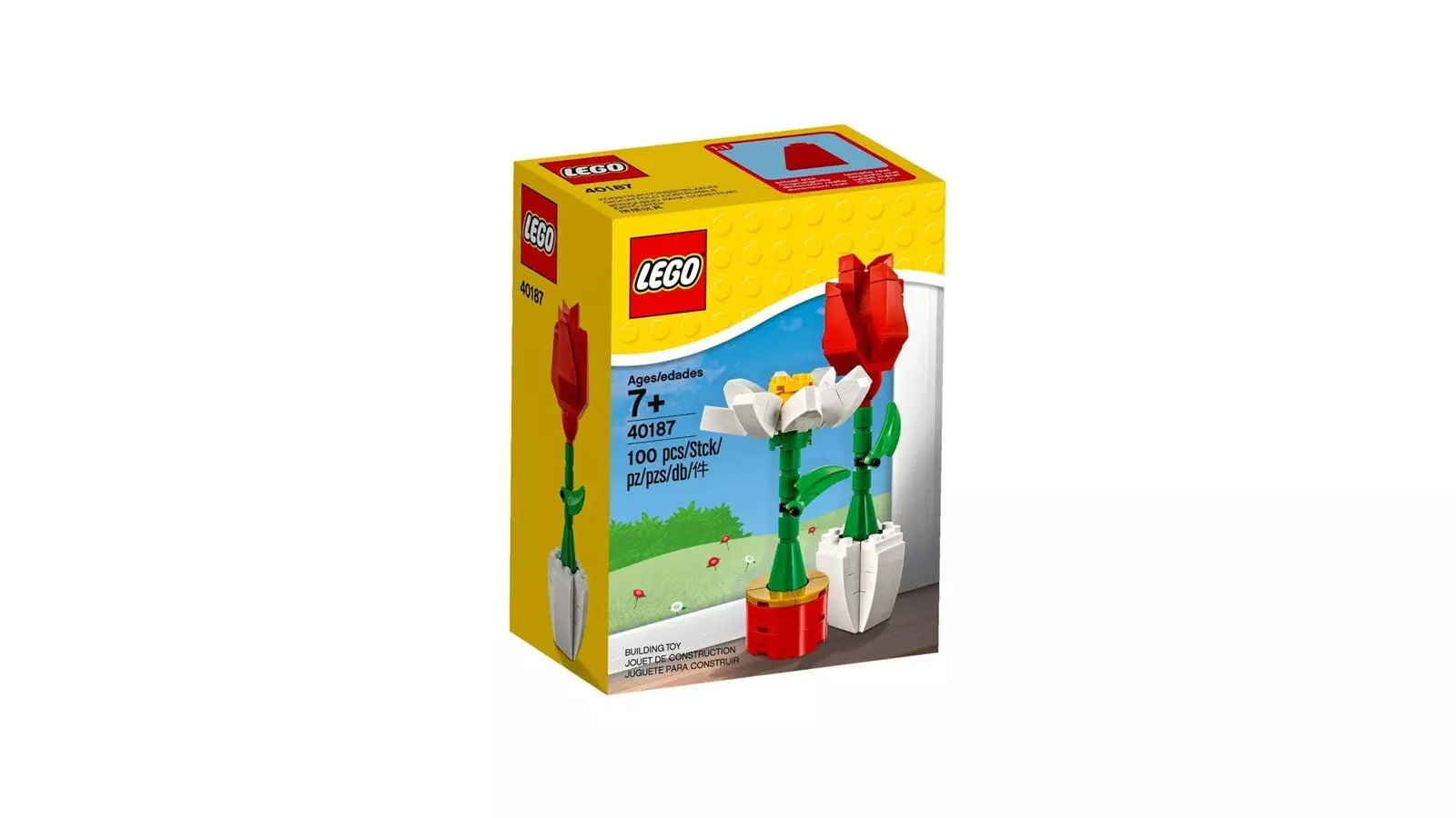 Usa ka LEGO nga kahon nga adunay LEGO nga rosas ug daisy atubangan sa usa ka gipintalan nga talan-awon sa gawas.