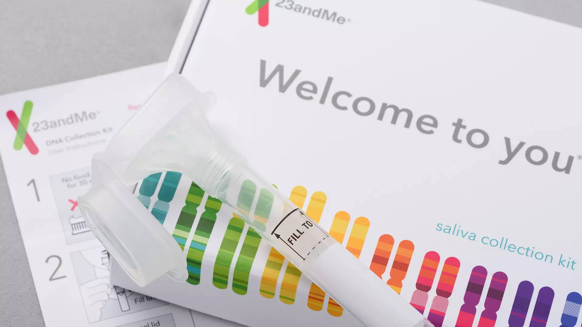 Kit Tes DNA Terbaik untuk Keluarga, Kacang Kesehatan, dan Pecinta Anjing