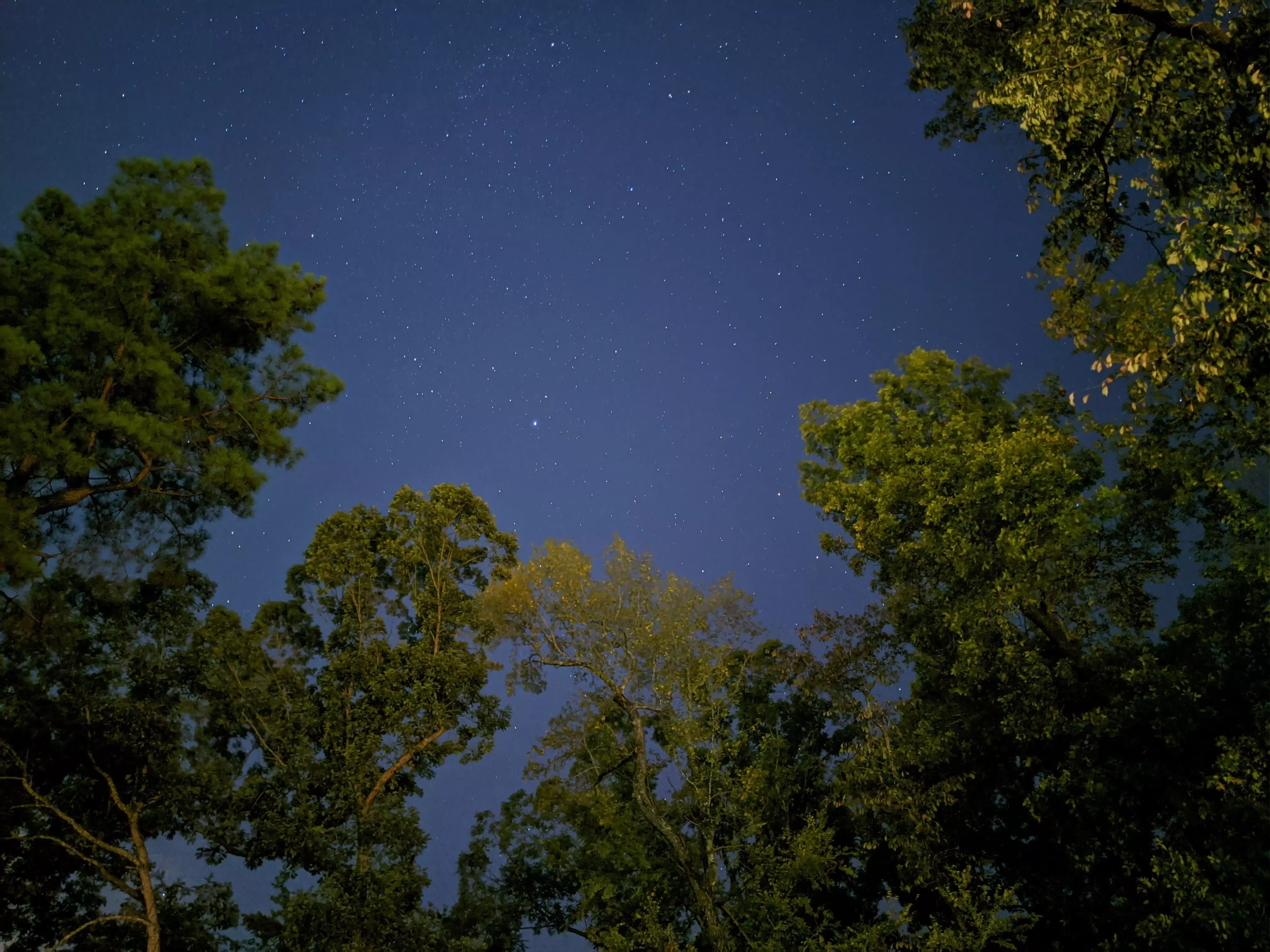 Visão noturna com modo de astrofotografia no Pixel 4