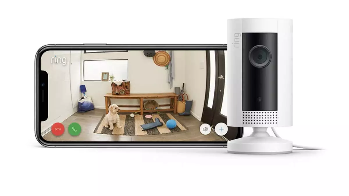 En ringkamera bredvid en smartphone som visar en matning av en hund i ett rum.