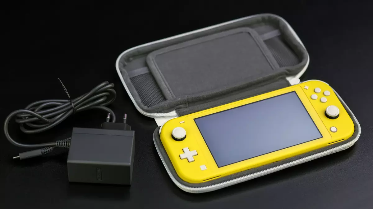Nintendo Switch Lite는 Nintendo의 최근 휴대용 게임기입니다.