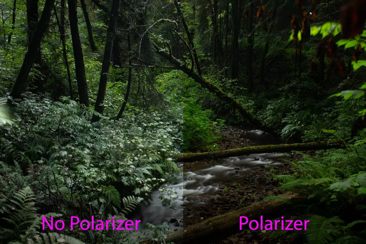 perbandingan landskap hutan dengan dan tanpa polarisasi