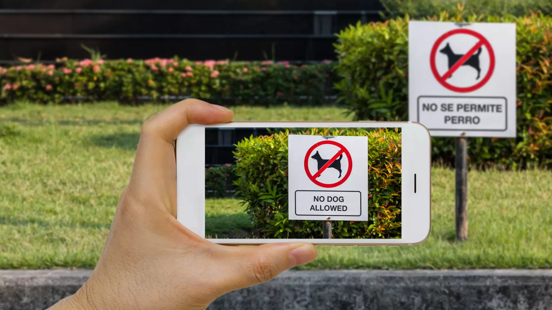 Echtzeit-Sprachübersetzung Augmented Reality, AR, App-Konzept mit Smartphone IOT zur Übersetzung von Text auf dem Schild vom Spanischen ins Englische