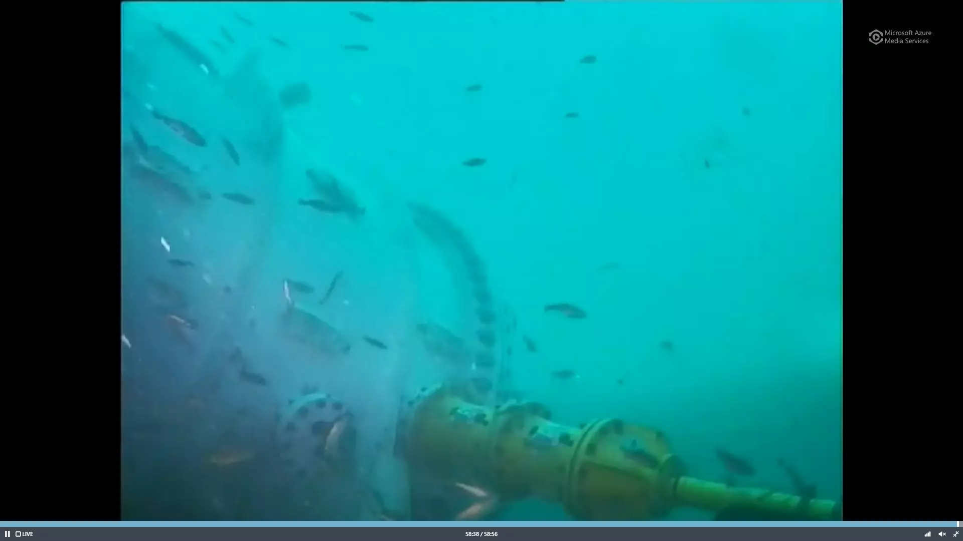 Мицрософтов подводни центар података има живу информацију о рибама око себе