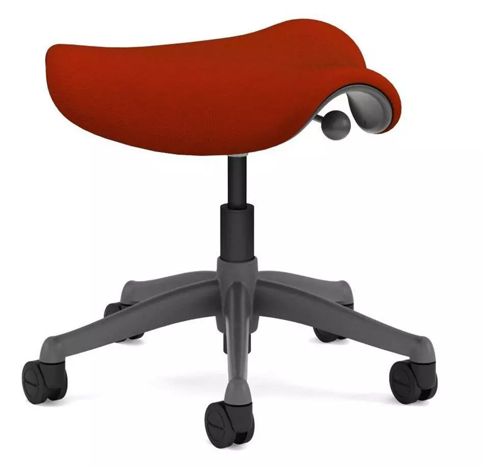 Ang Pinakamahusay na Alternatibo ng Desk Chair 9930_4