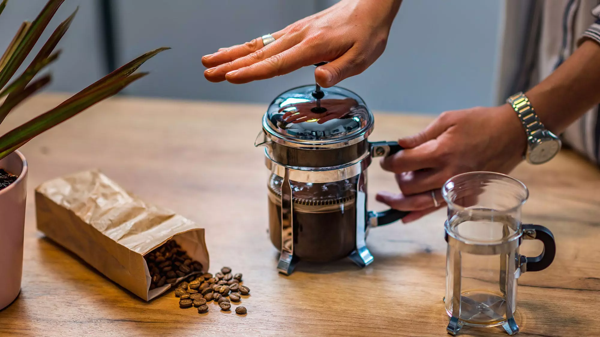 ဘတ်ဂျက်တိုင်းအတွက် အကောင်းဆုံး French Press ကော်ဖီဖျော်စက်များ